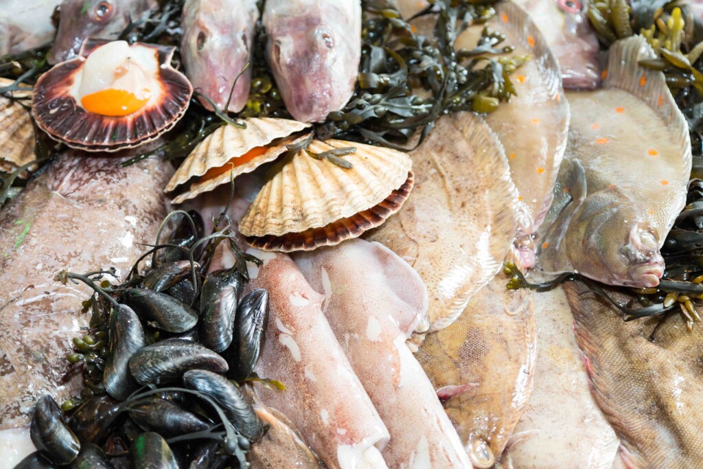 Foodservice first from M&J Seafood makes sustainable seafood choices ...