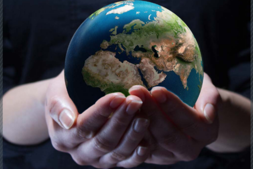 Food and drink companies remain sheepish about scope 3 emissions ...