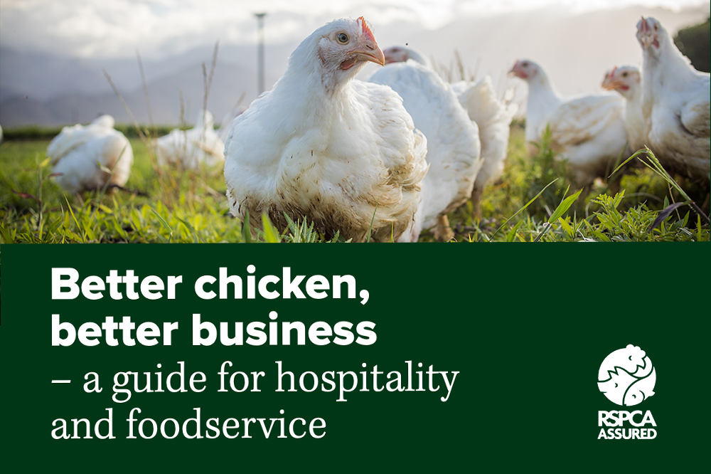 NEW REPORT: Better chicken, better business: a guide for hospitality ...