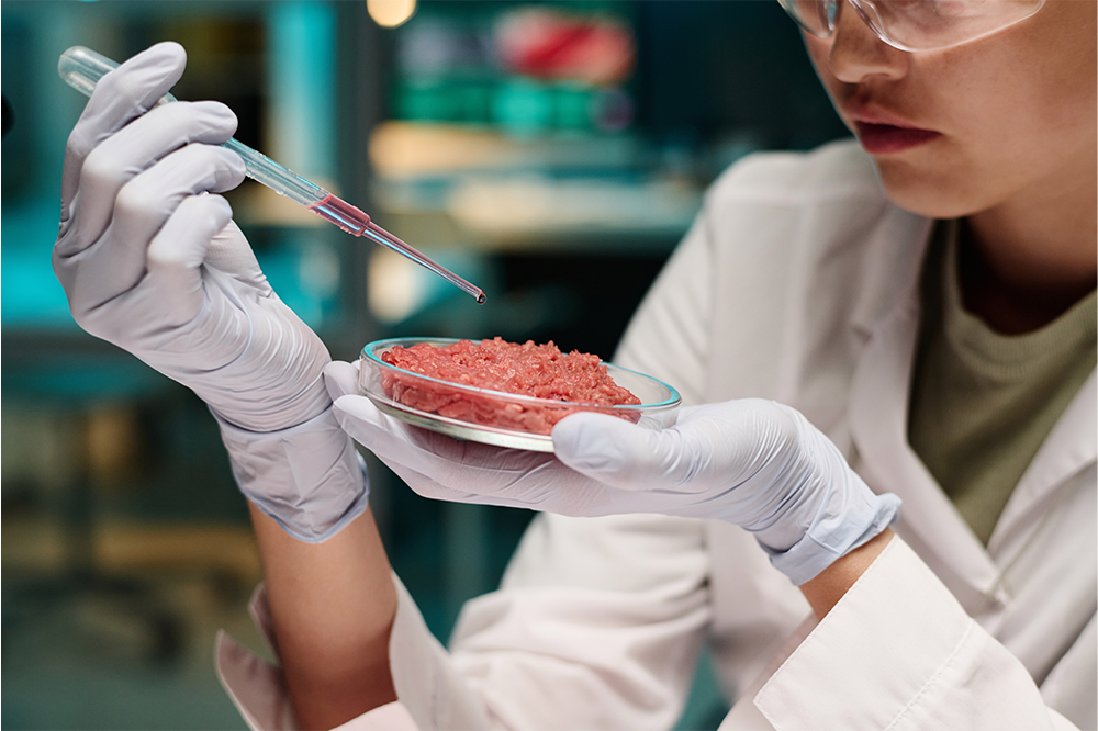 Can farmers find common ground with lab meat innovators? - Foodservice ...