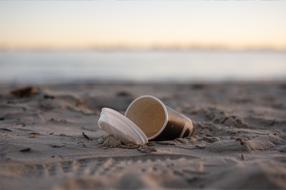 Single-use cup charge stalls in Scotland - Foodservice Footprint