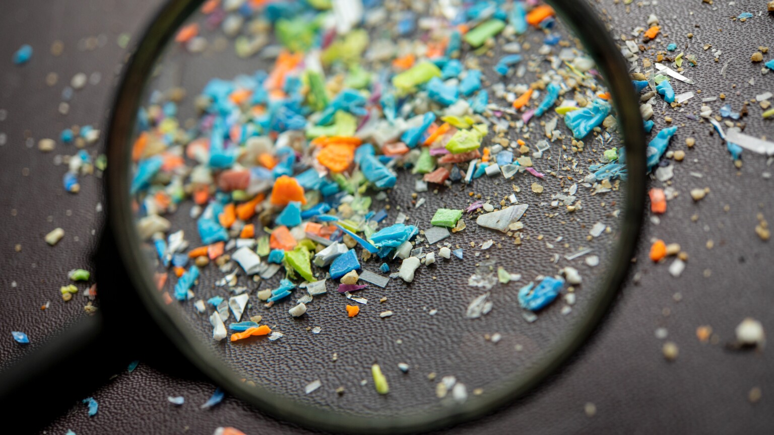 Microplastic studies called into question - Foodservice Footprint