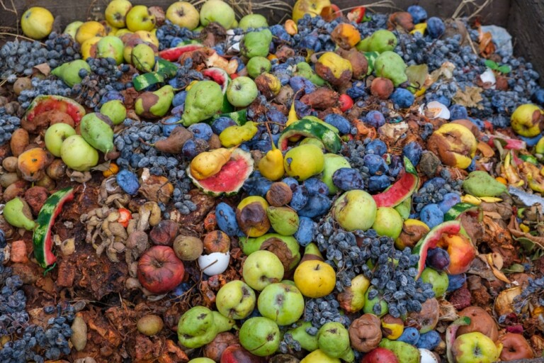 Can food waste reduction get back on track? - Foodservice Footprint